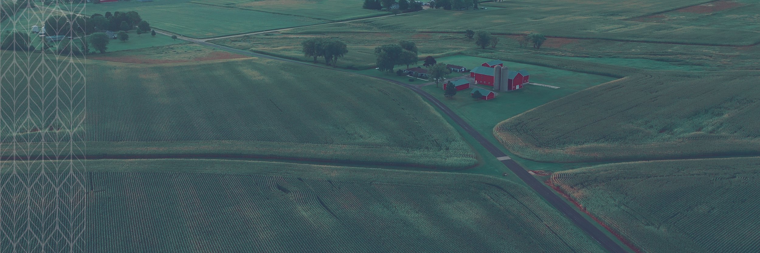 Busey Bank | The Future of Farm Investment: Trends and Predictions